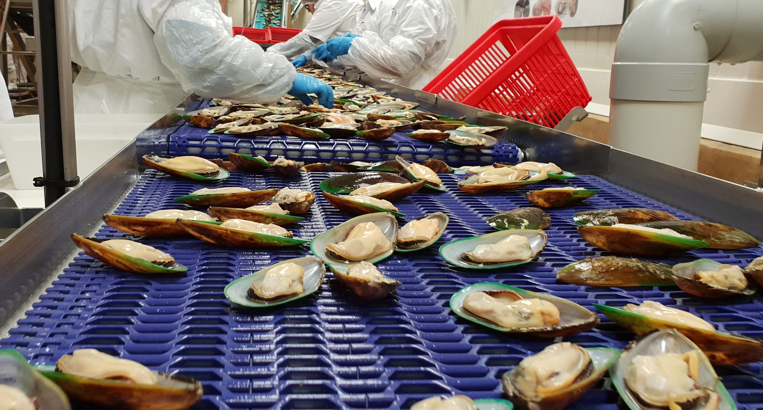 Marlborough Archives - A-Temp